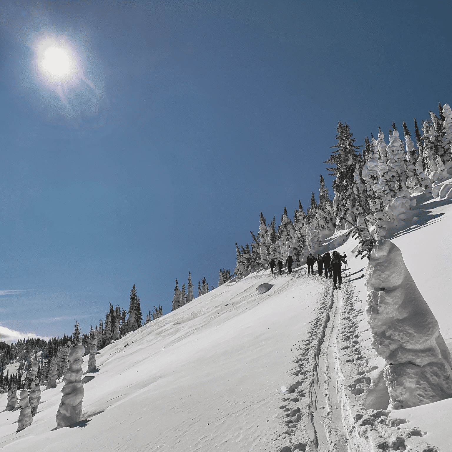 Conditions report: B.C. Interior snowfall forecast